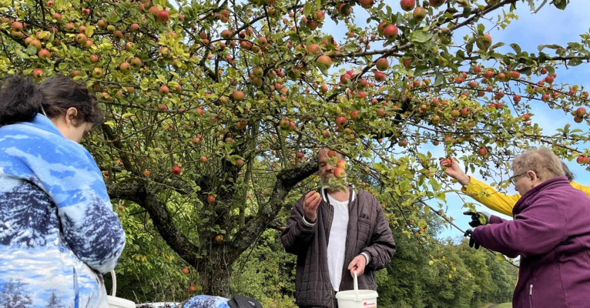 " Rund um den Apfel" - Unsere Projektwoche – Aktuelles – Reas